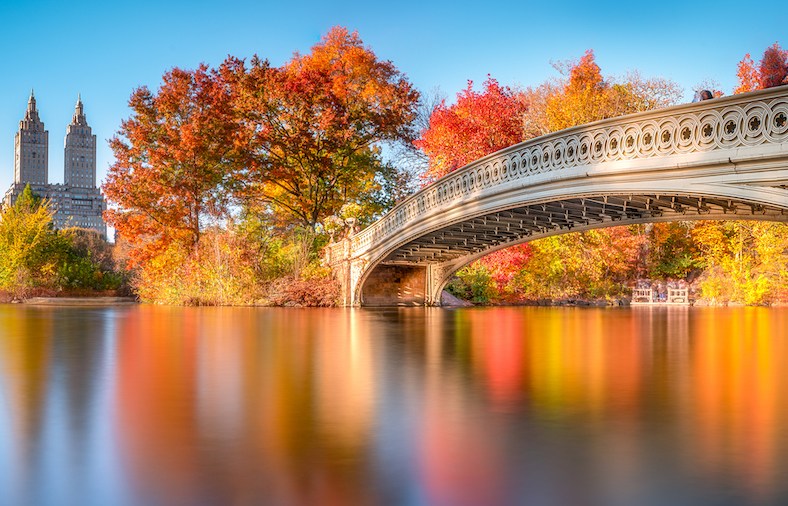 Fall Foliage in NYC Is at Its Peak: 5 Great Places to See It | StreetEasy