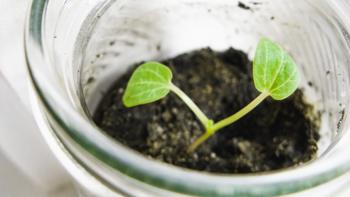 Lead Nurturing 101 | StreetEasy Expert Resources